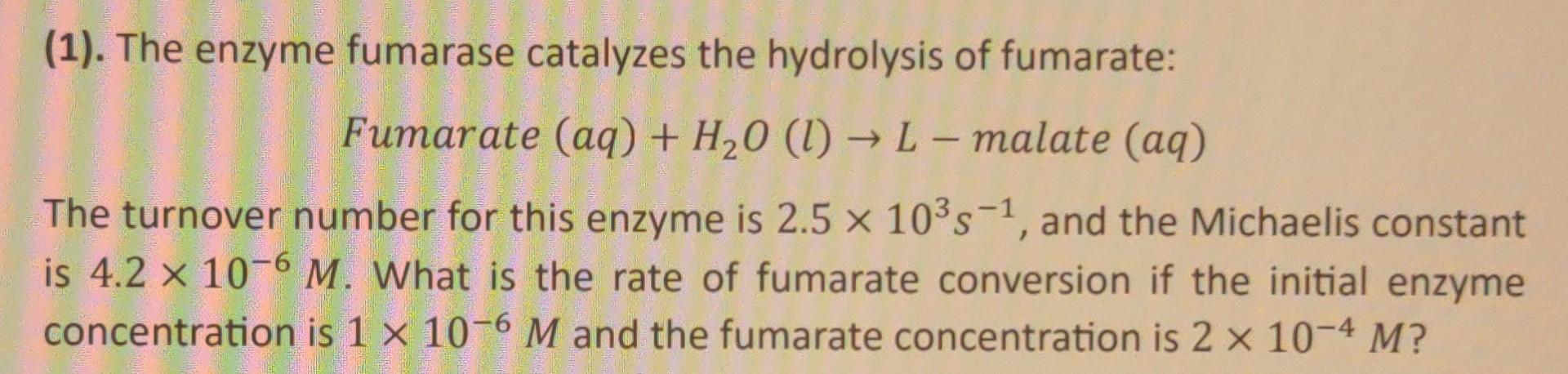 Solved (1). The enzyme fumarase catalyzes the hydrolysis of | Chegg.com