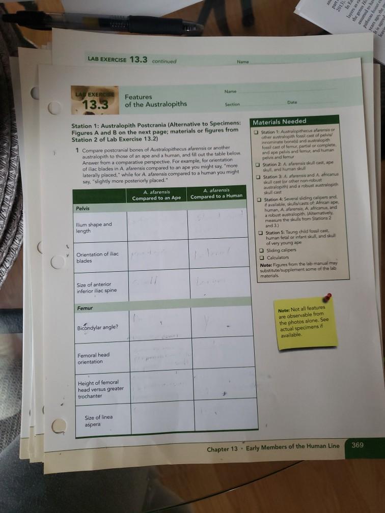 part 20131 Layers as the genus assumed the pithecus | Chegg.com