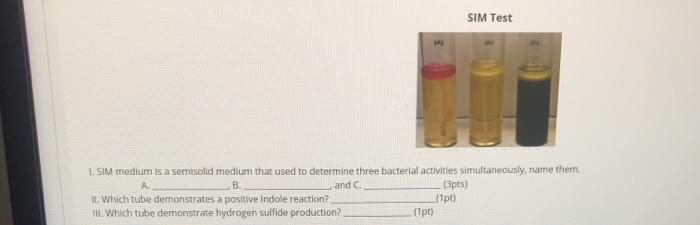 Solved SIM Test CA A. L. SIM medium is a semisolid medium | Chegg.com
