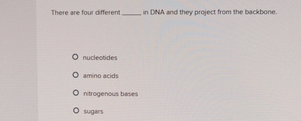 Solved There are four different ﻿in DNA and they project | Chegg.com