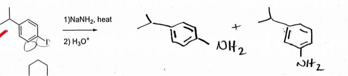 Solved 1)NaNH2, heat 2) H30* NH2 NH2 | Chegg.com