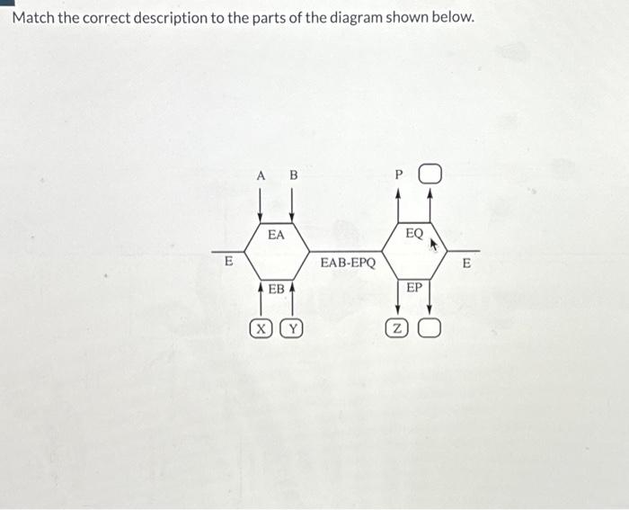 Solved Match the correct description to the parts of the | Chegg.com