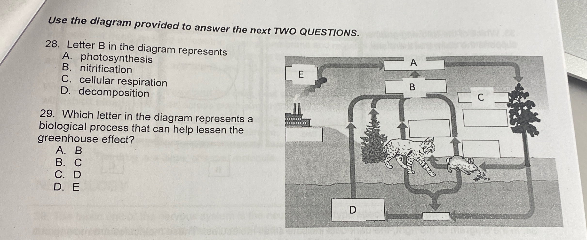 Solved Use the diagram provided to answer the next TWO | Chegg.com