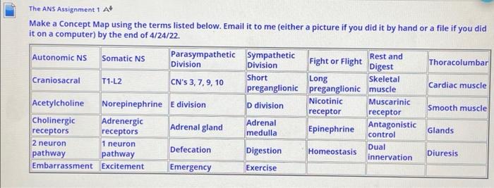 Solved The ANS Assignment 1 A Make a Concept Map using the | Chegg.com