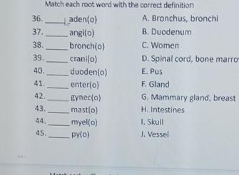 Solved Match each root word with the correct | Chegg.com