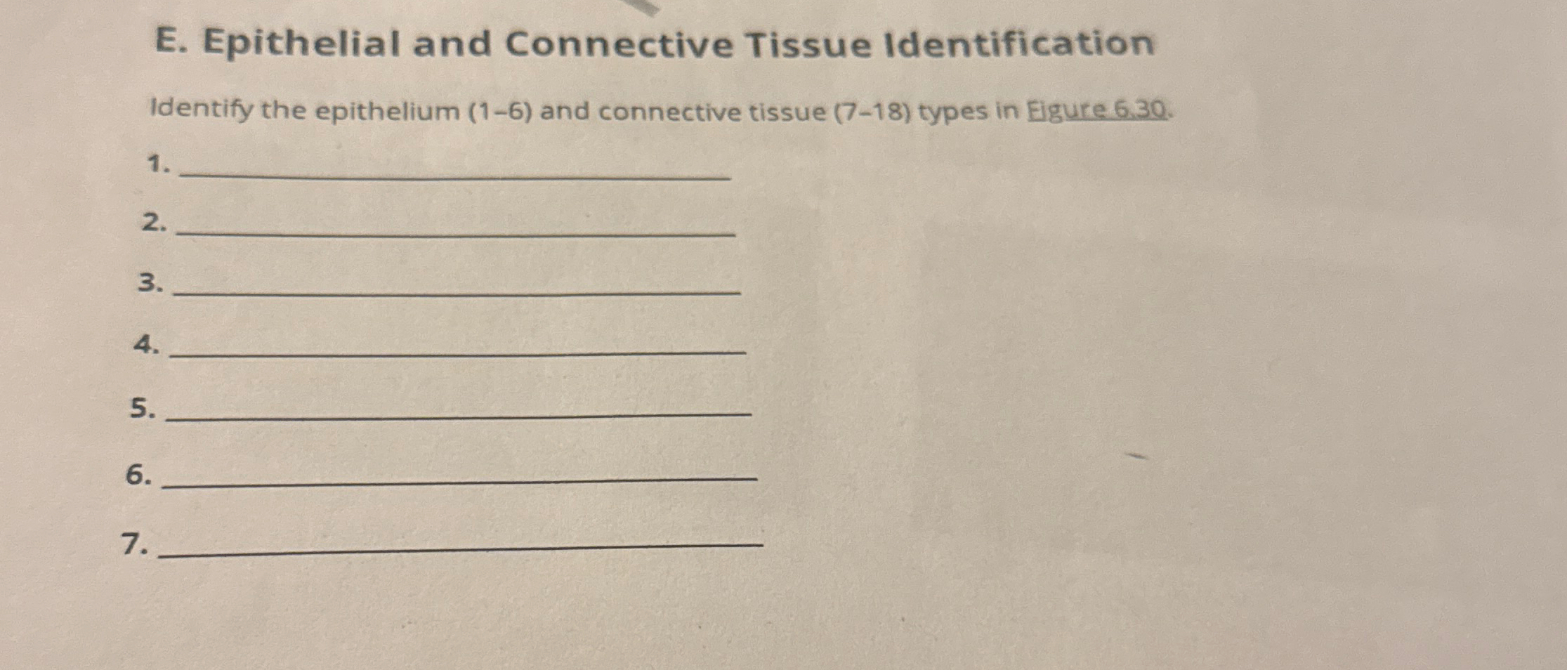 E. ﻿Epithelial and Connective Tissue | Chegg.com