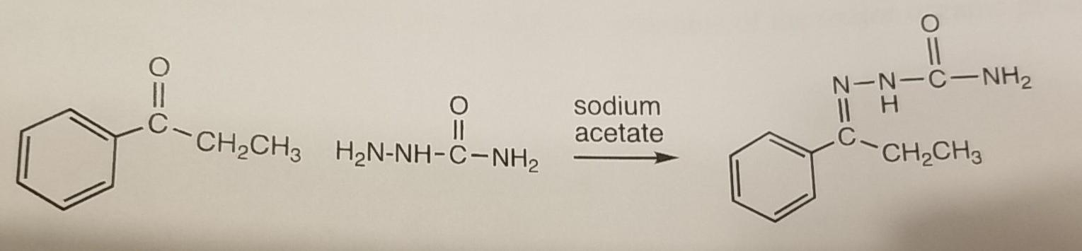 Solved II N-N-C-NH2 II H CH2CH3 H2N-NH-C-NH2 O=C sodium | Chegg.com