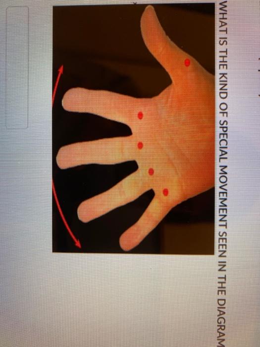 Solved WHAT IS THE KIND OF SPECIAL MOVEMENT SEEN IN THE | Chegg.com