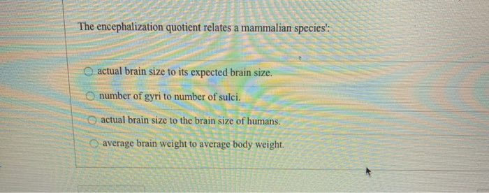 Solved The encephalization quotient relates a mammalian | Chegg.com