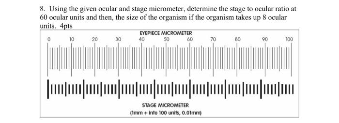 Solved 8. Using the given ocular and stage micrometer, | Chegg.com