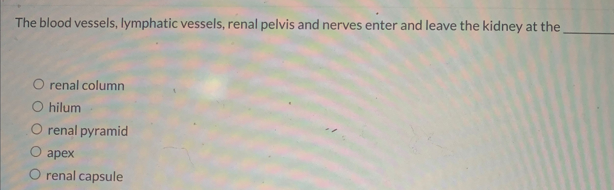 Solved The blood vessels, lymphatic vessels, renal pelvis | Chegg.com