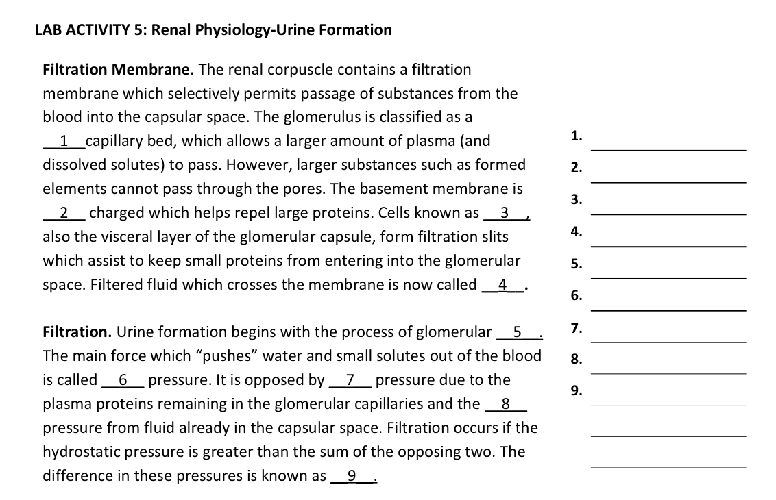 Solved LAB ACTIVITY 5: Renal Physiology-Urine | Chegg.com