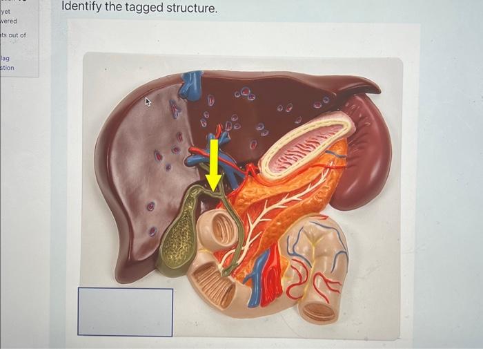 Identify the tagged structure. | Chegg.com
