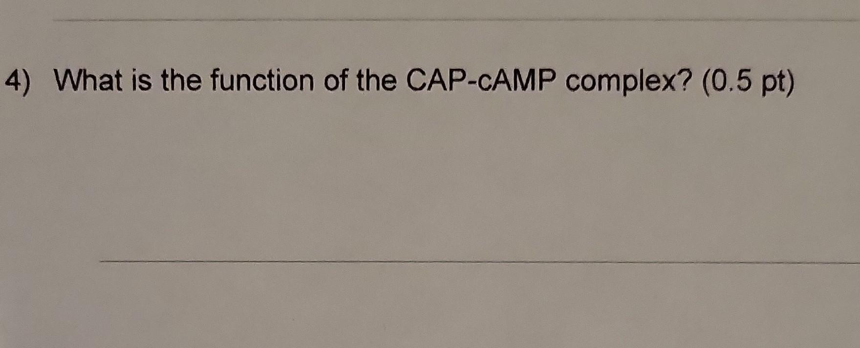 Solved 4) What is the function of the CAP-cAMP complex? | Chegg.com