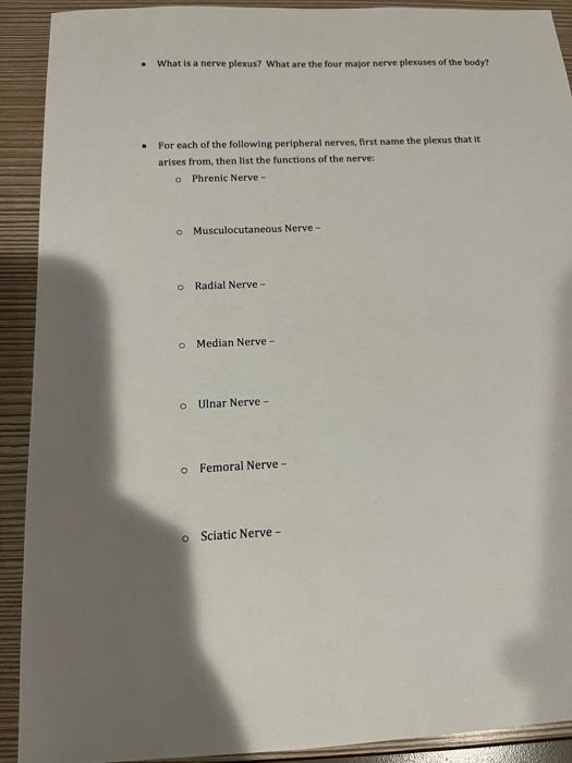 Solved - What is a nerve plexus? What are the four major | Chegg.com