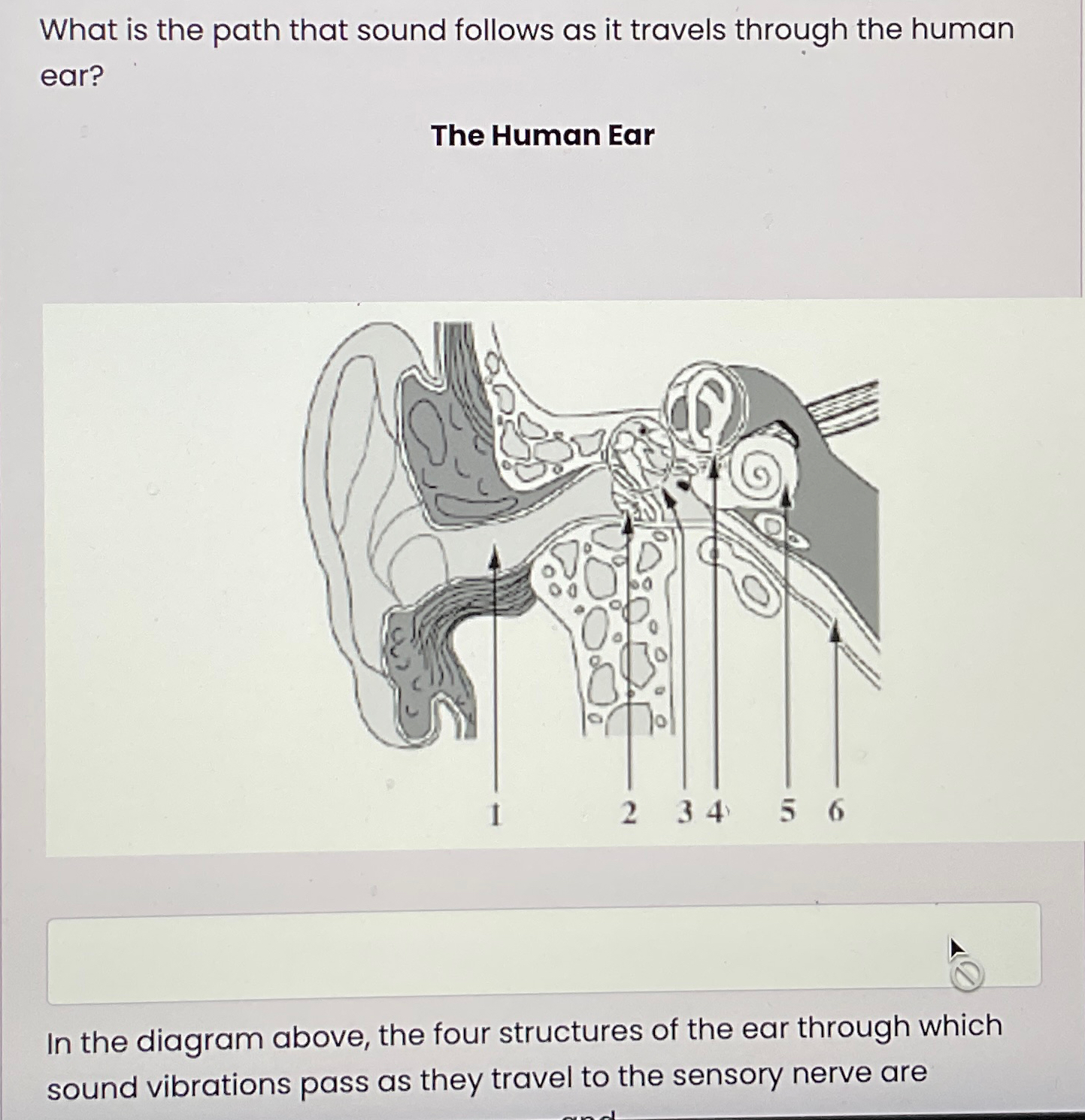 Solved What is the path that sound follows as it travels | Chegg.com
