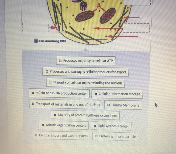 Solved Label each cellular location with its function/role. | Chegg.com
