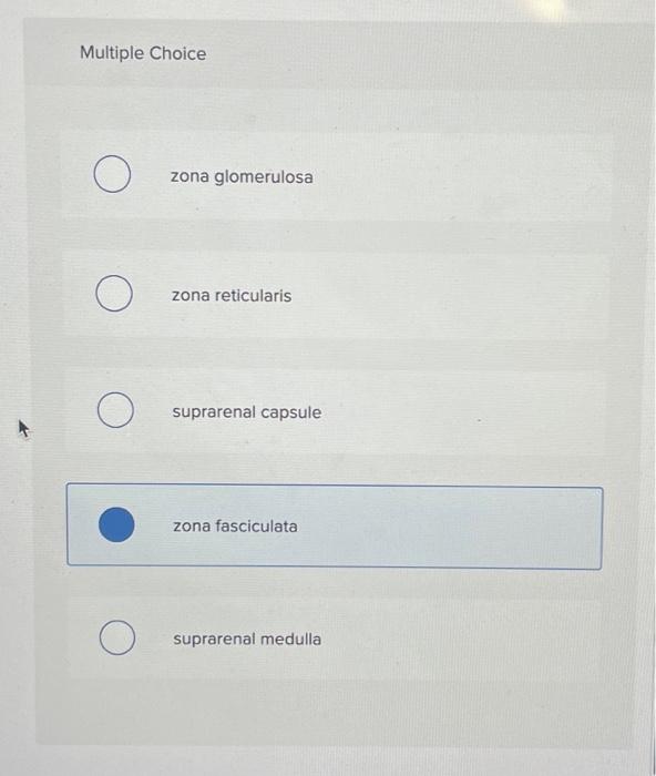 Solved Which structure is highlighted? Multiple Choice zona | Chegg.com