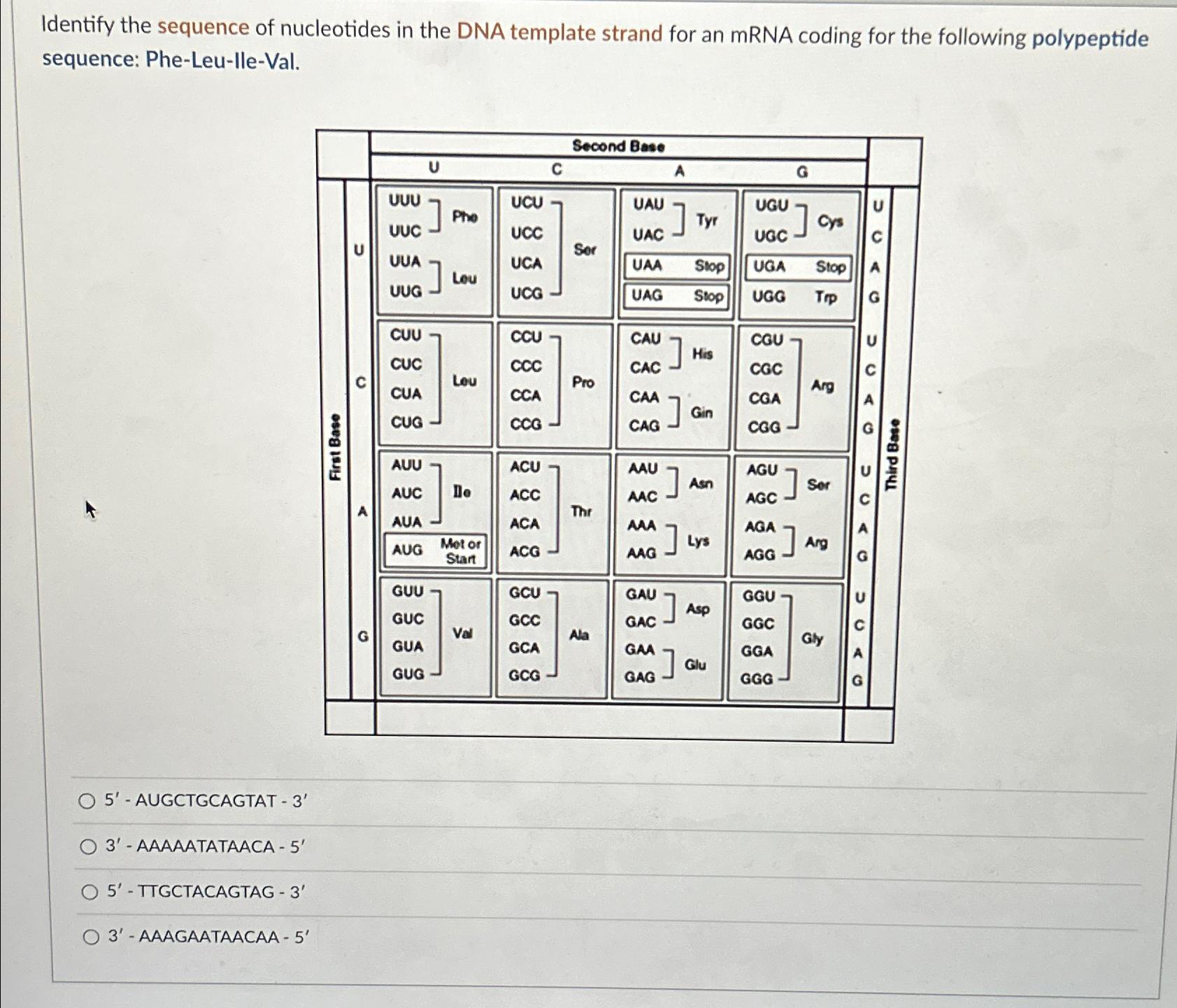 Solved Identify the sequence of nucleotides in the DNA | Chegg.com