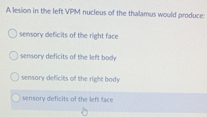 Solved A lesion in the left VPM nucleus of the thalamus | Chegg.com