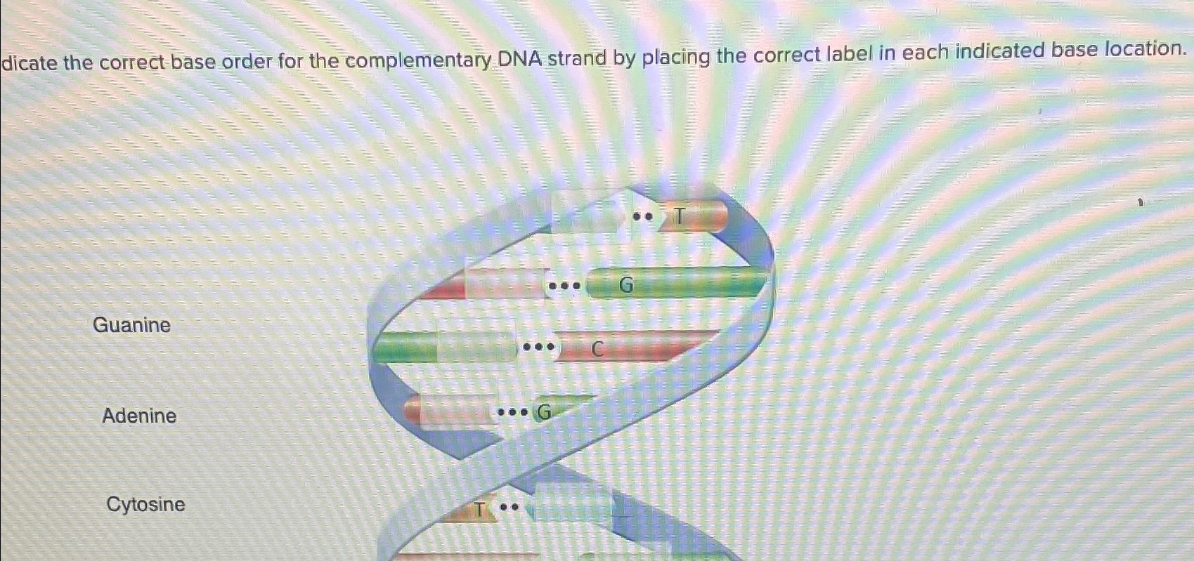Solved dicate the correct base order for the complementary | Chegg.com