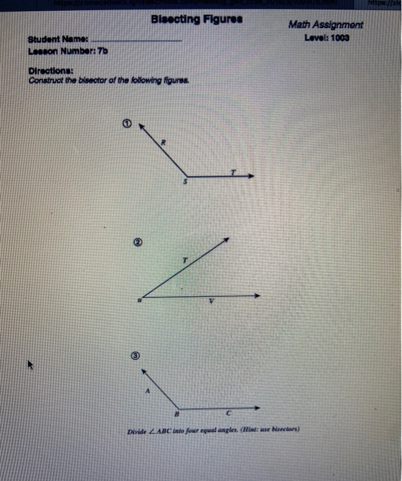 Solved aps Bisecting Figures Math Assignment Level: 1003 | Chegg.com
