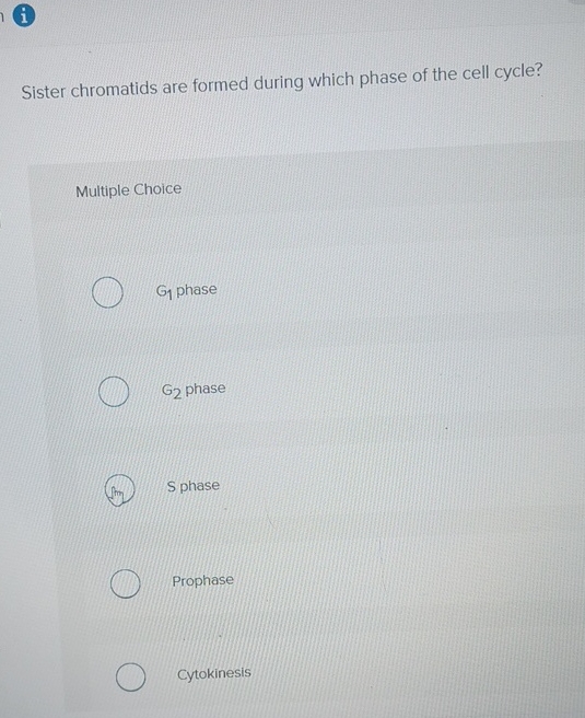 Solved iSister chromatids are formed during which phase of | Chegg.com