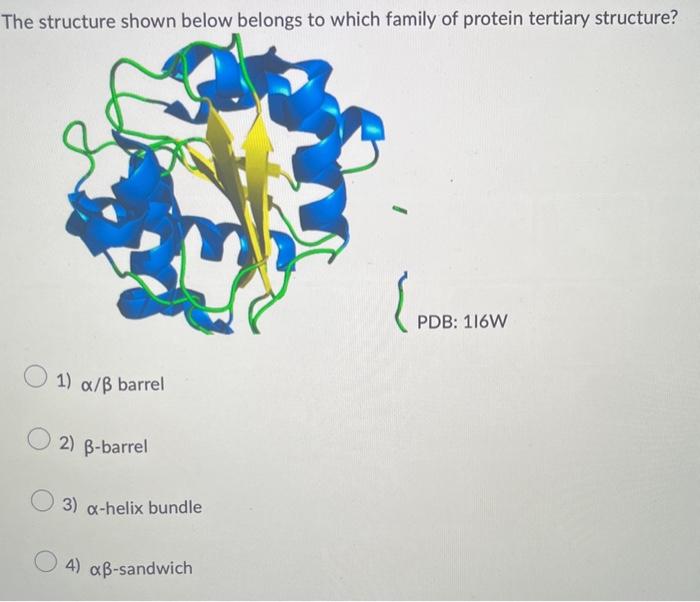 Solved The structure shown below belongs to which family of | Chegg.com