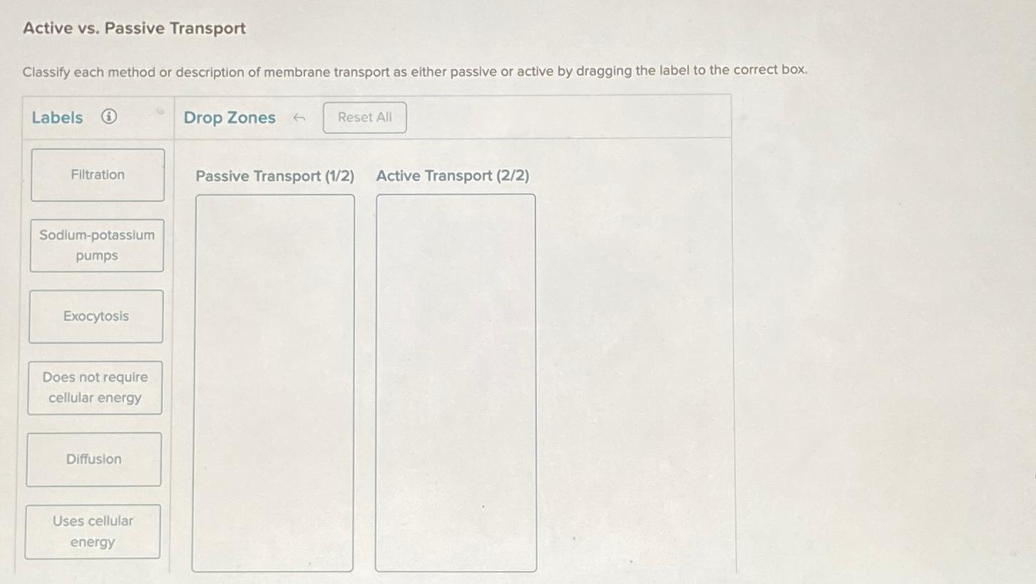Solved Active vs. ﻿Passive TransportClassify each method or | Chegg.com