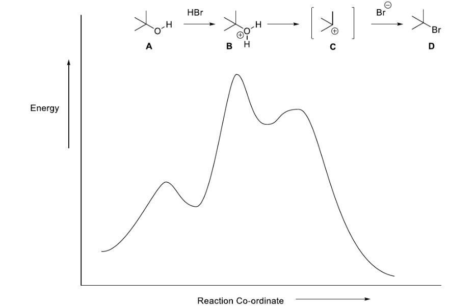 Which species does the first transition state of the | Chegg.com