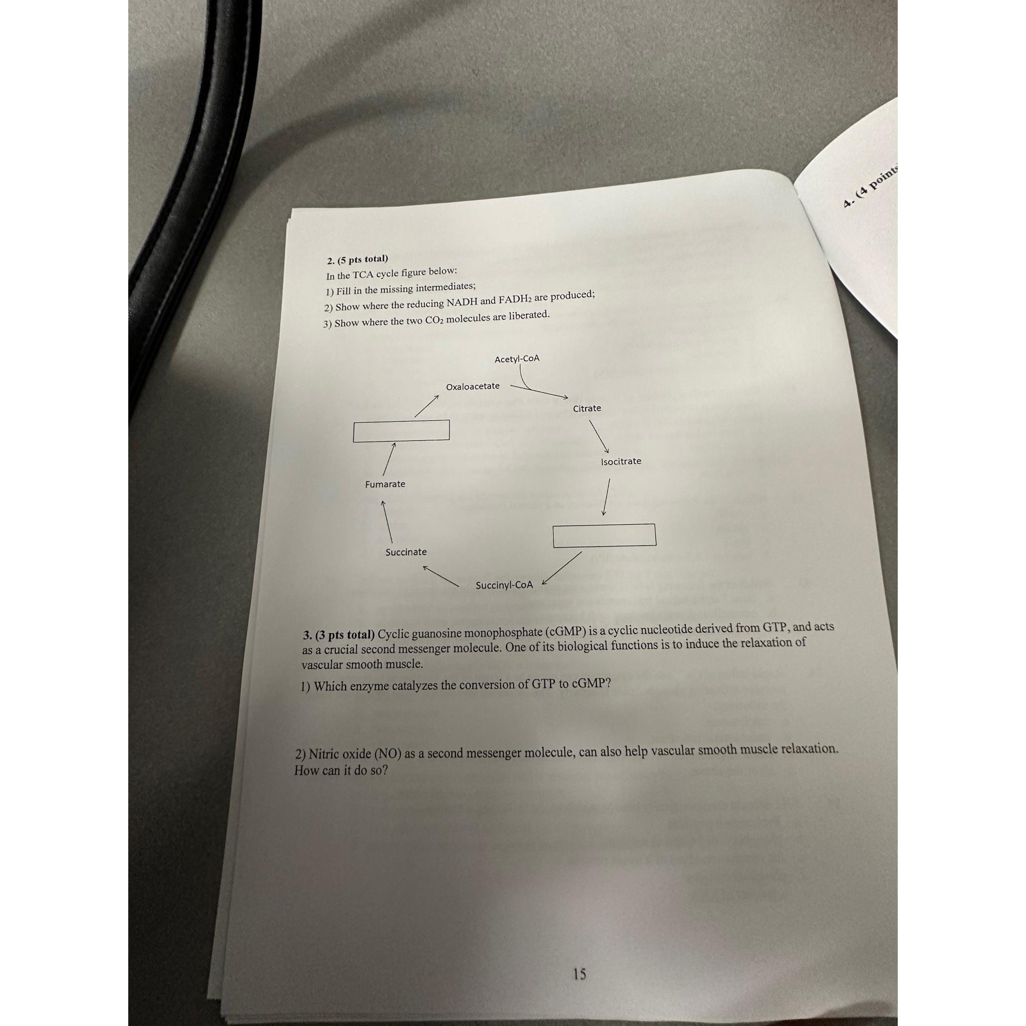 Solved (5 ﻿pts total)In the TCA cycle figure below:Fill in | Chegg.com