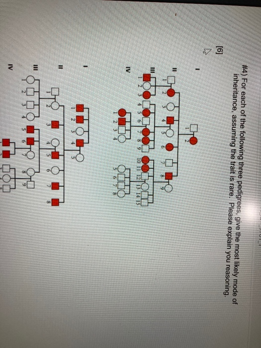 Solved #4) For each of the following three pedigrees, give | Chegg.com