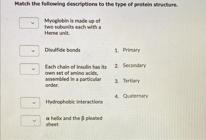Solved Match the following descriptions to the type of | Chegg.com