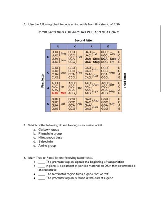 Solved 6. Use the following chart to code amino acids from | Chegg.com