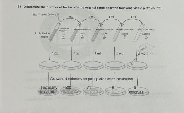 Solved 9) Determine the number of bacteria in the original | Chegg.com