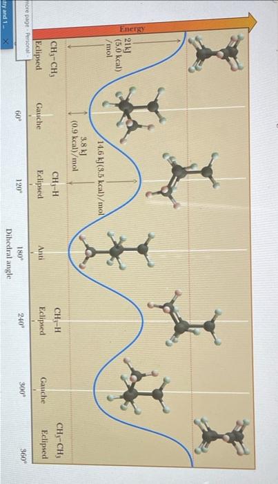 Solved 1. How does the dihedral angle in n-butane affect the | Chegg.com