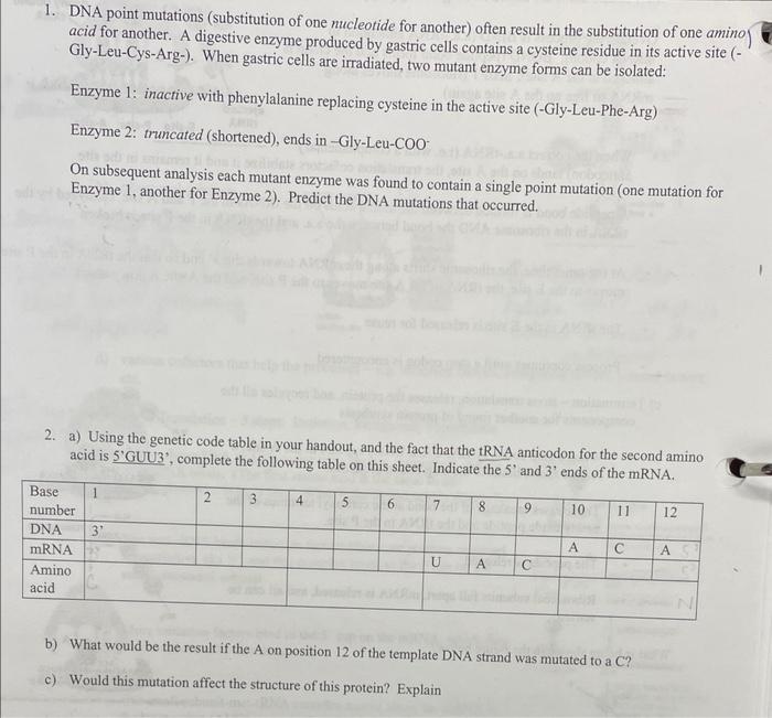 Solved 1. DNA point mutations (substitution of one | Chegg.com
