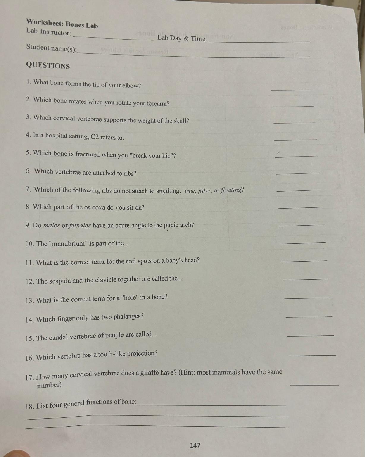Solved Worksheet: Bones LabLab Instructor: Lab Day & | Chegg.com