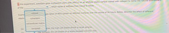 Solved Stem cells are cells that have the potential to | Chegg.com