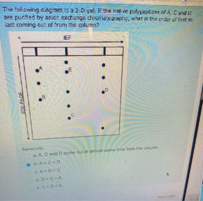 Solved The following diagram is a 2-D gel. If the native | Chegg.com
