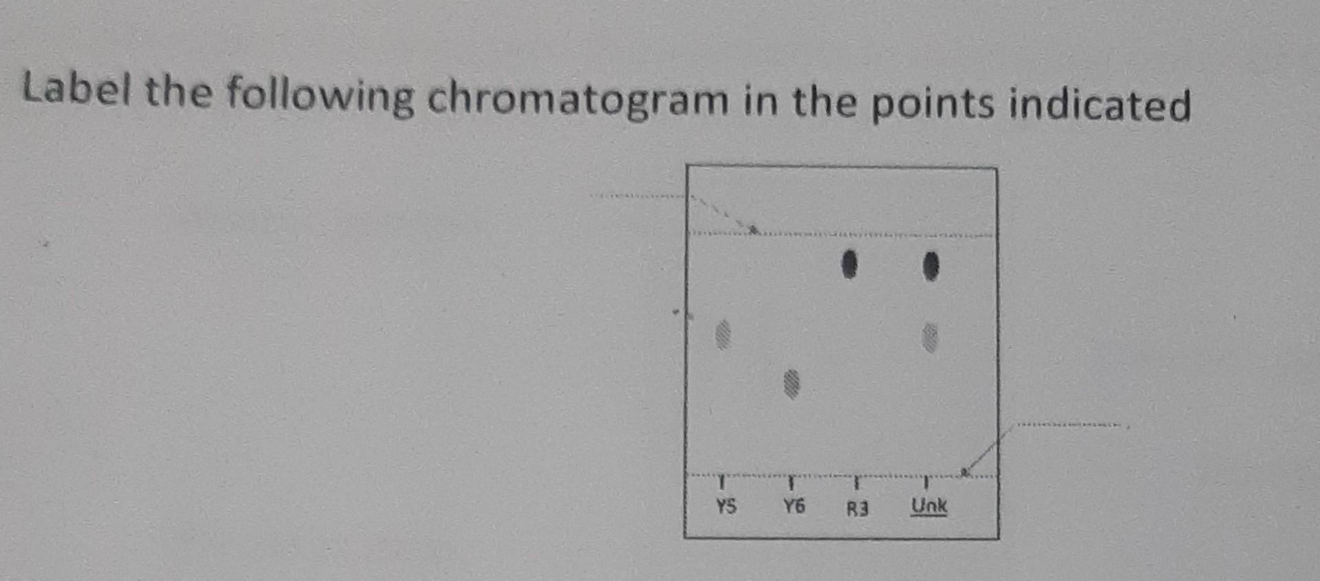 Solved Label the following chromatogram in the points | Chegg.com