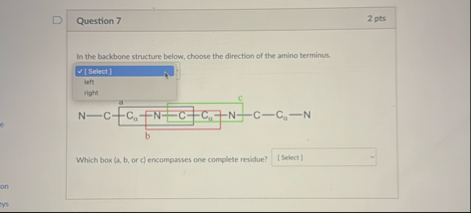 Solved Question 72 ﻿ptsIn the backbone structure below, | Chegg.com