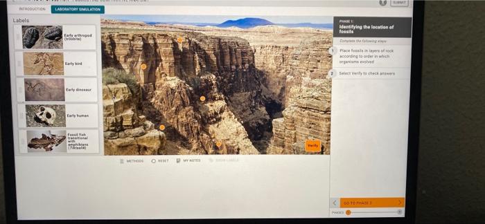 Solved place fossils in layers of rock according to order in | Chegg.com