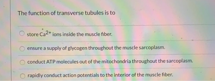 Solved The function of transverse tubules is to store Ca2+ | Chegg.com