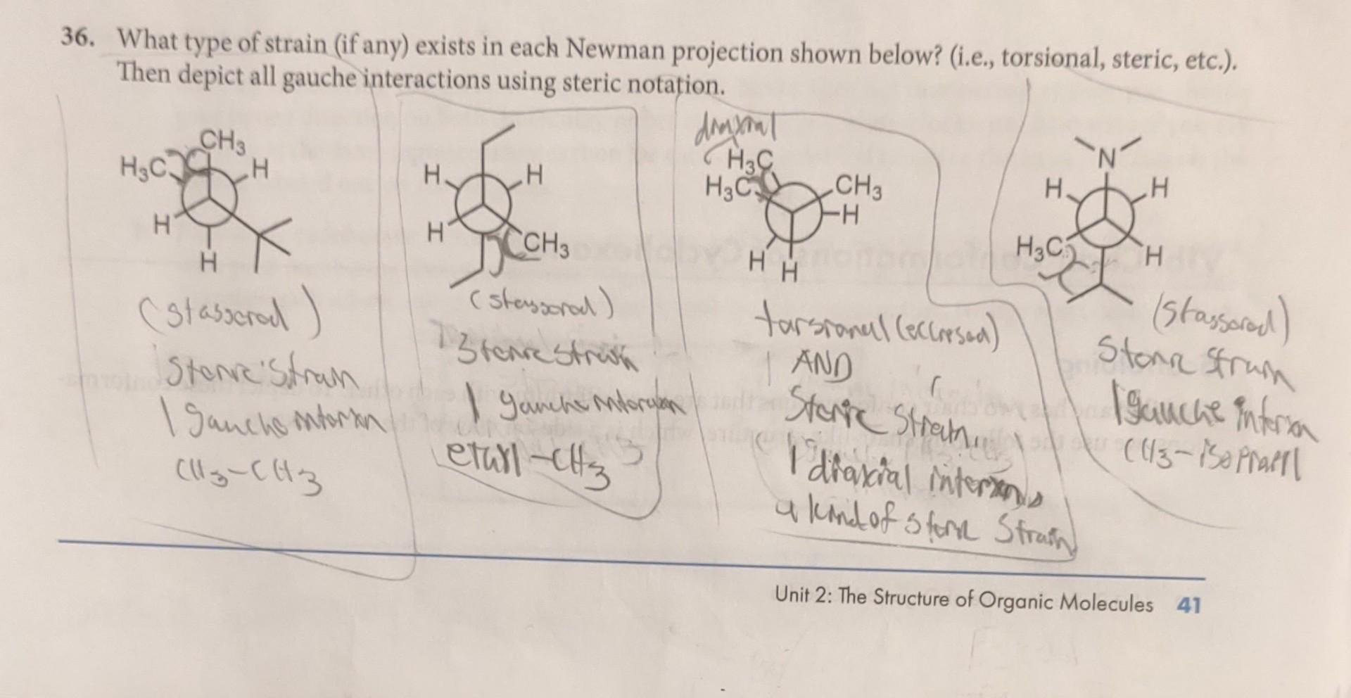 Solved What type of strain (if any) exists in each Newman | Chegg.com