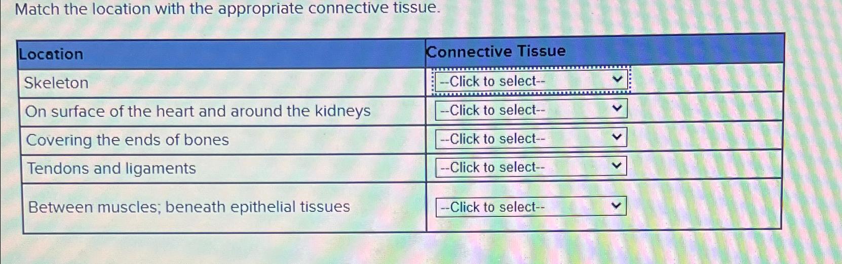 Solved Match the location with the appropriate connective | Chegg.com