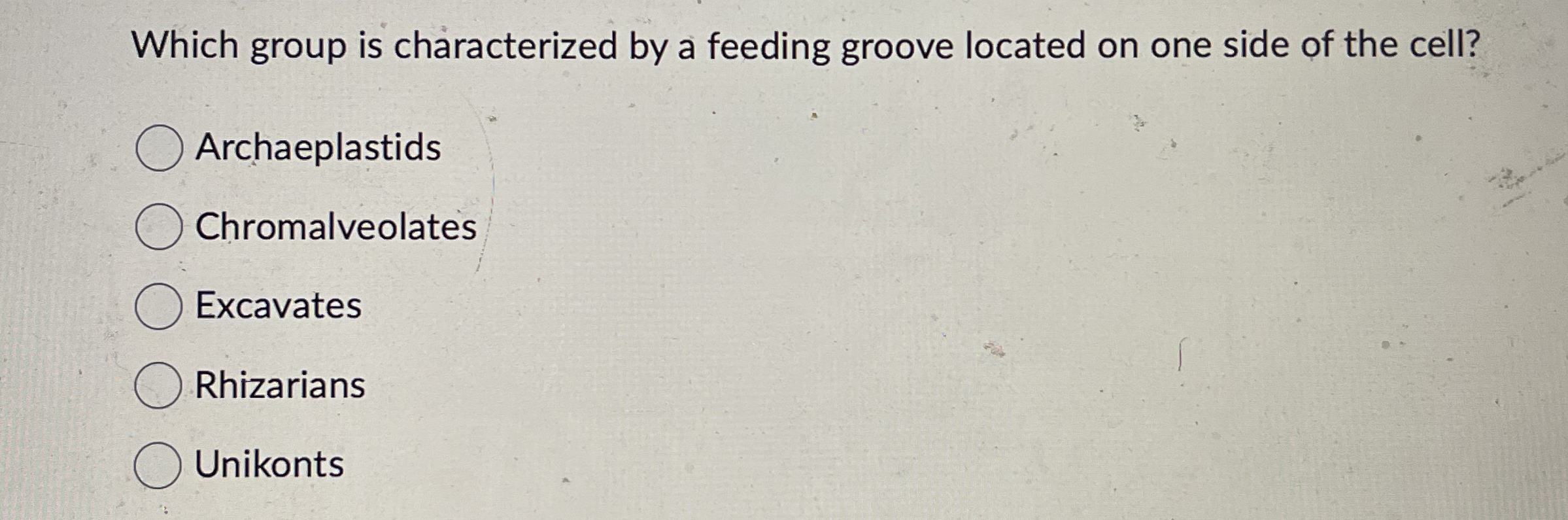 Solved Which group is characterized by a feeding groove | Chegg.com