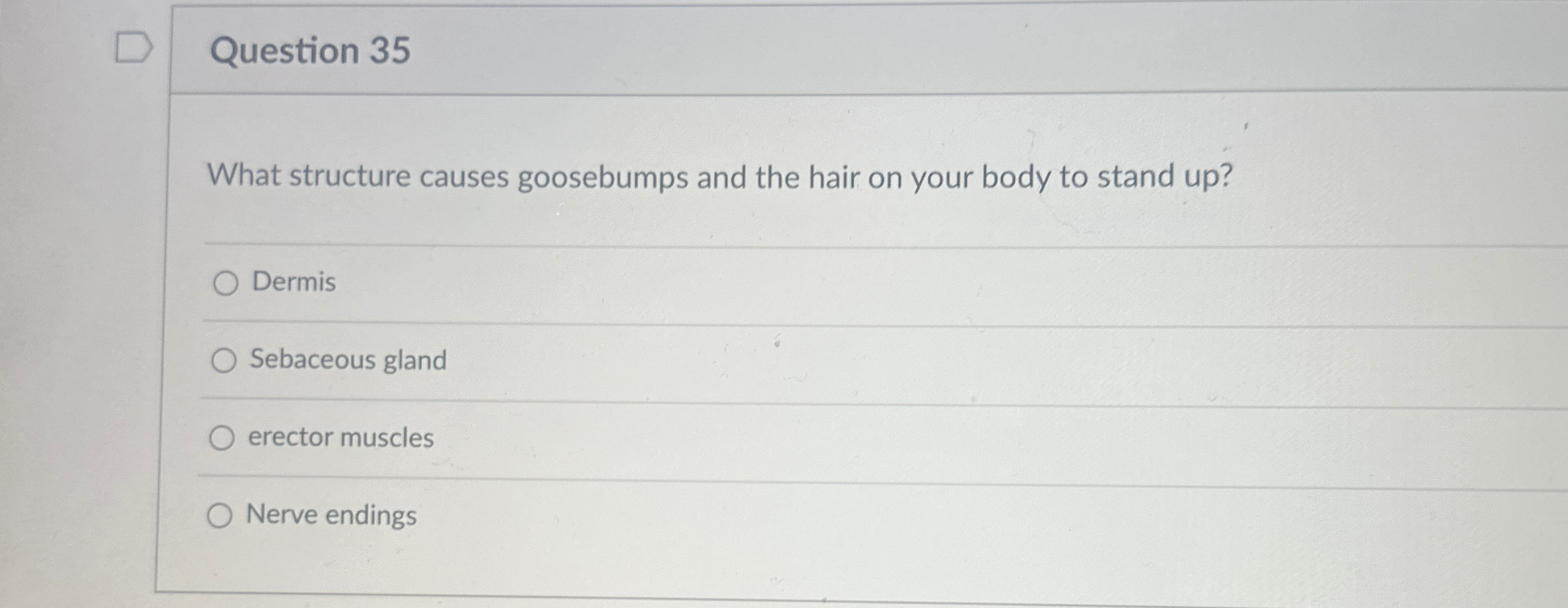 Solved Question 35What structure causes goosebumps and the | Chegg.com