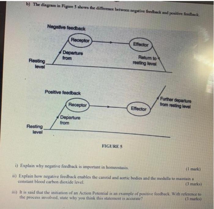 Solved b) The dingrum in Figure 5 shows the difference | Chegg.com