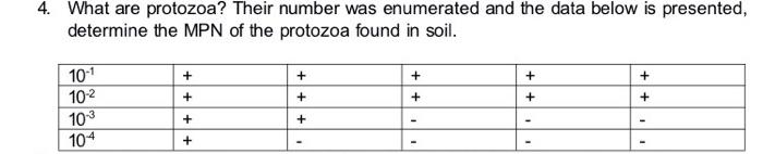 Solved What are protozoa? Their number was enumerated and | Chegg.com